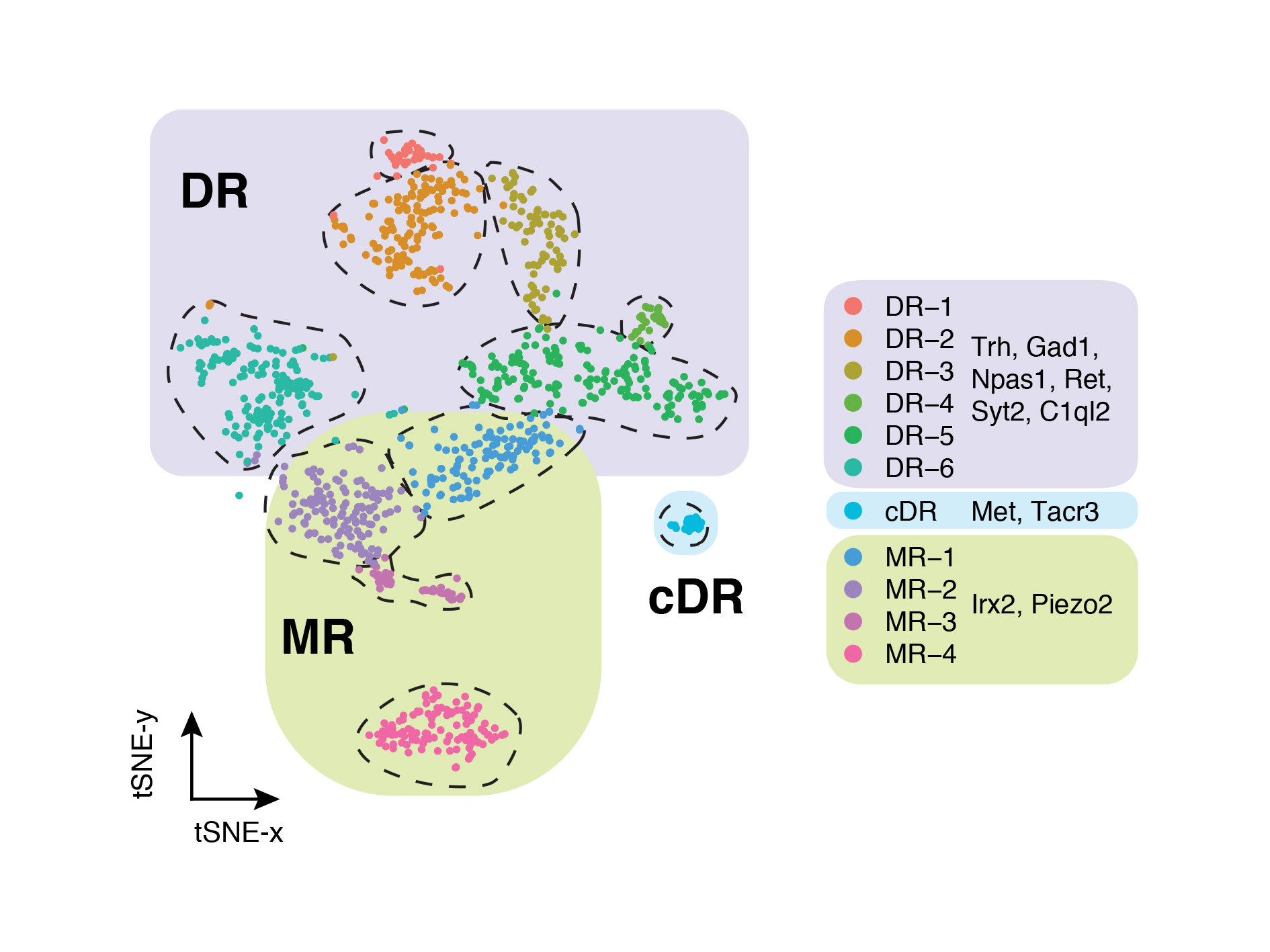 Ren Lab – perceive, conceive, achieve