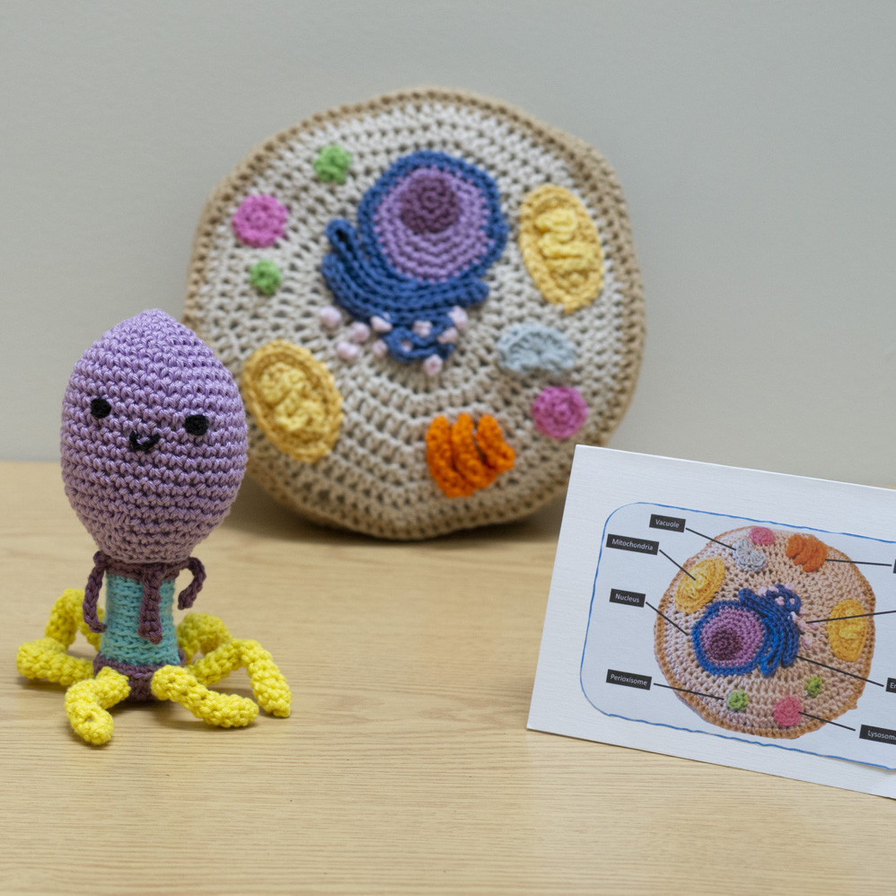 LMB staff share their creative side at the Arts and Crafts Show - MRC Laboratory of Molecular ...