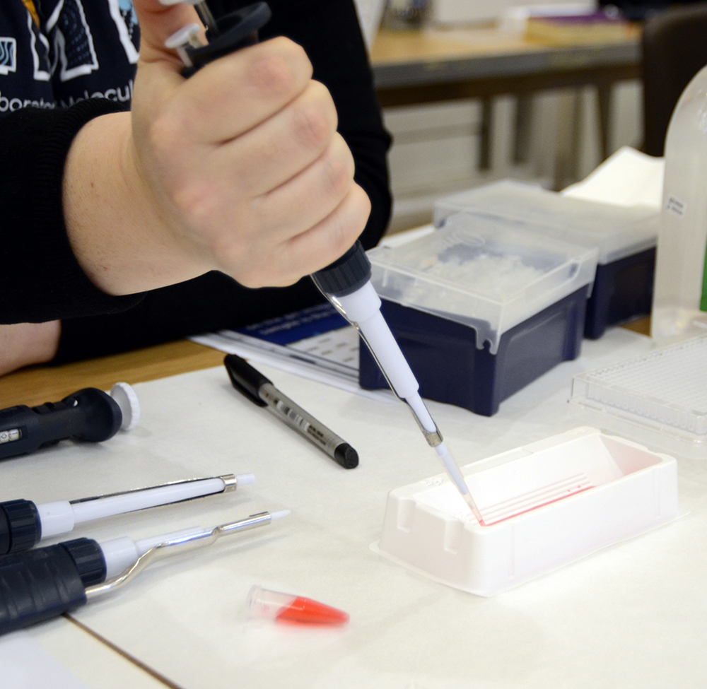 LMB gets hands-on with a pipetting challenge at the Big Biology Day ...