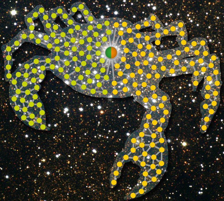 Molecular principles of gene fusion mediated protein interaction ...