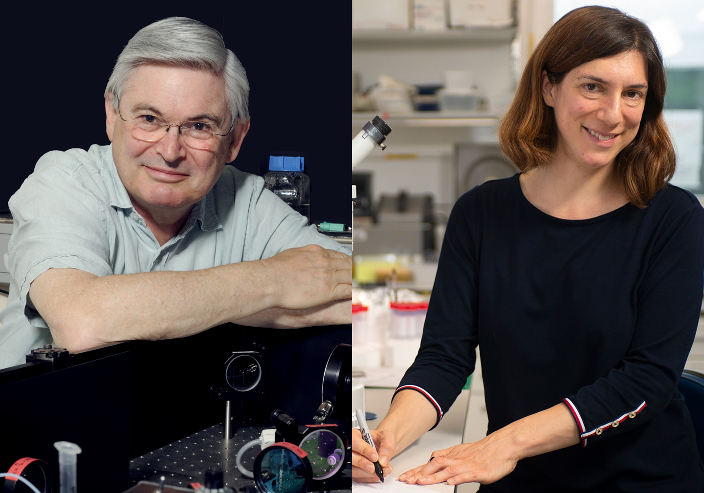 Alan Fersht and Marta Zlatic win Royal Society Medals - MRC Laboratory ...