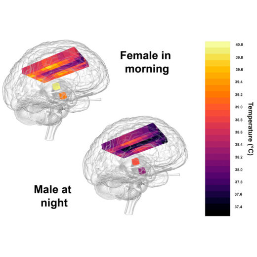 MRC Laboratory of Molecular Biology