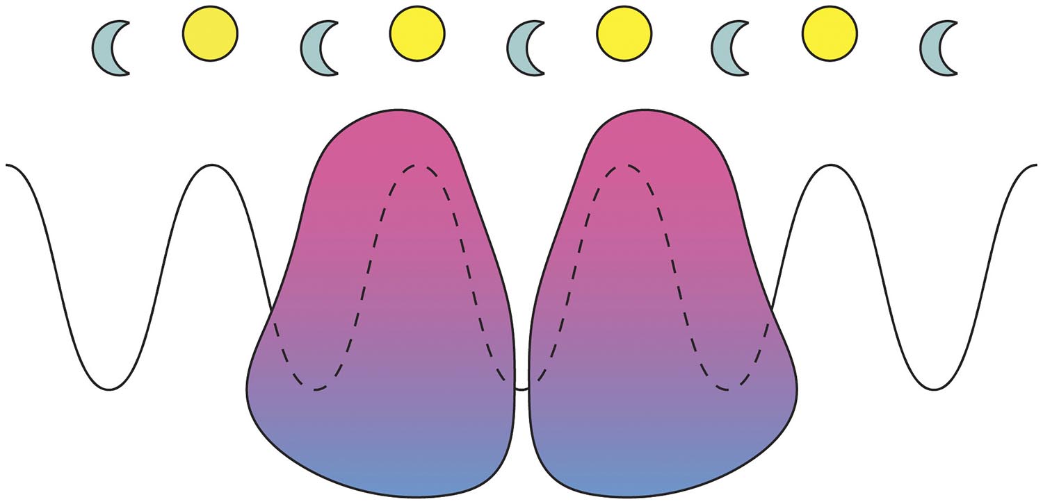 A cellular pacemaker in the central body clock - MRC Laboratory of ...