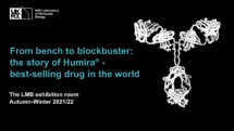From bench to blockbuster: the story of HUMIRA® – best-selling drug in ...
