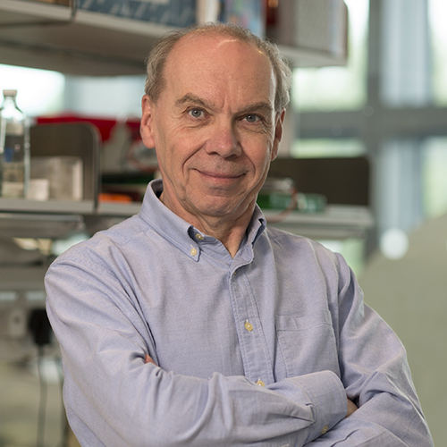 Celebrating Michel Goedert’s four decades at the LMB - MRC Laboratory ...