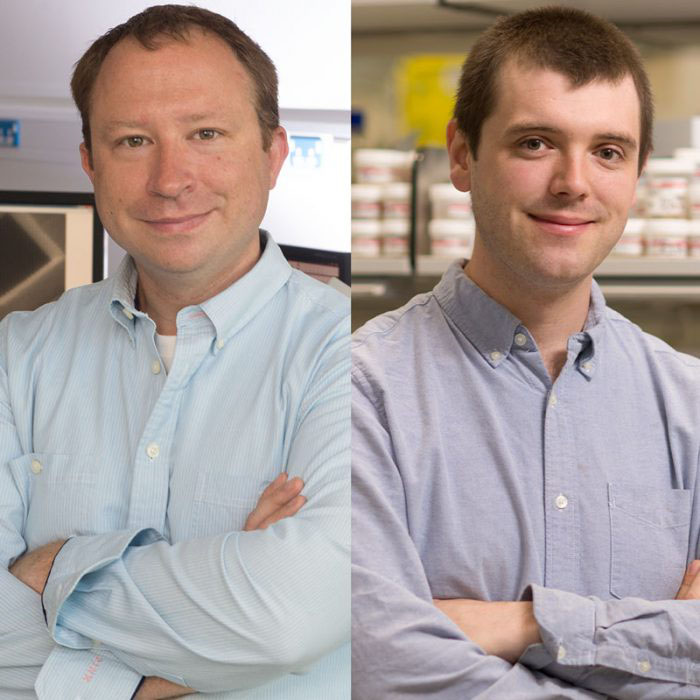 Two new group leaders at the LMB: Chris Russo and Gerry Crossan - MRC ...