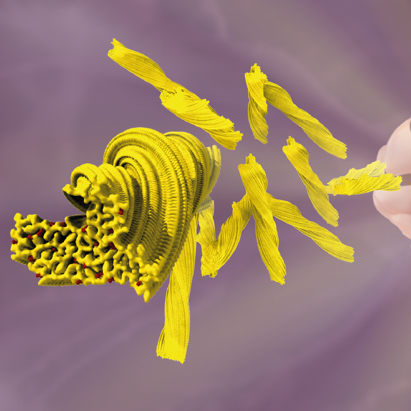 Discovery of a new amyloid-forming protein in neurodegenerative disease ...