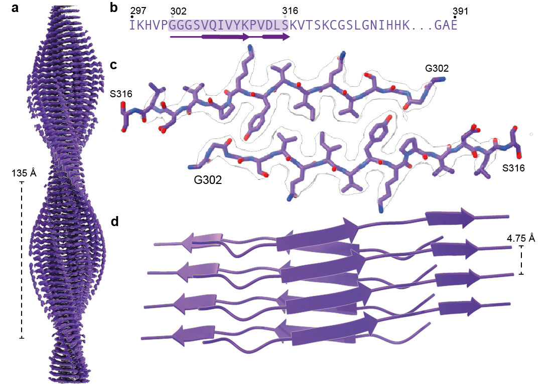 Alzheimer’s disease and chronic traumatic encephalopathy tau filament ...