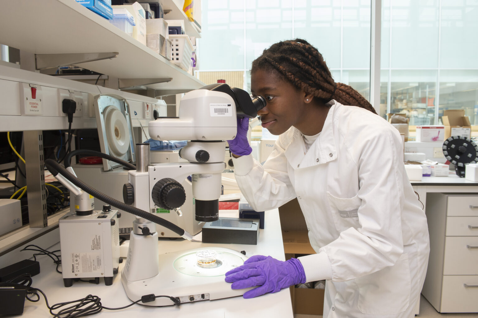 Work Experience - MRC Laboratory of Molecular Biology