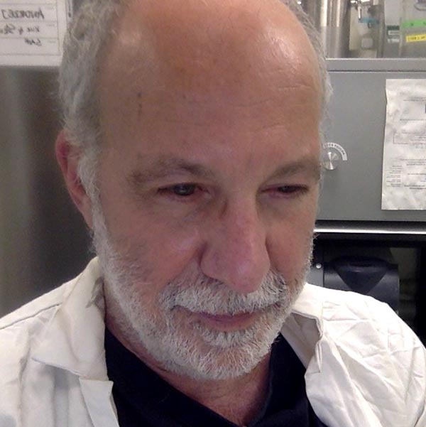 LMB Fellows - MRC Laboratory of Molecular Biology