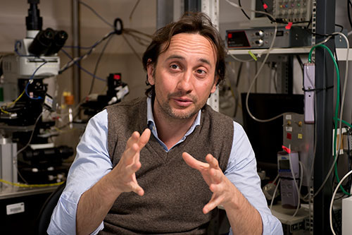 Marco Tripodi - MRC Laboratory of Molecular Biology