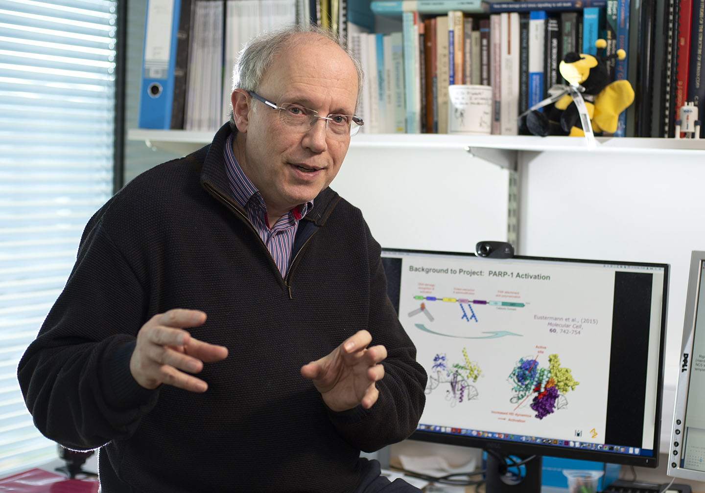 David Neuhaus - MRC Laboratory of Molecular Biology
