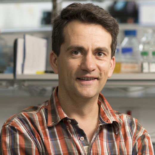 LMB welcomes Radu Aricescu as new Group Leader - MRC Laboratory of ...