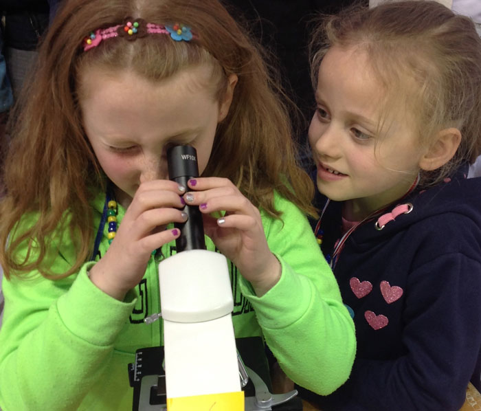 Hands-on activities by LMB scientists at the Cambridge Science Festival ...