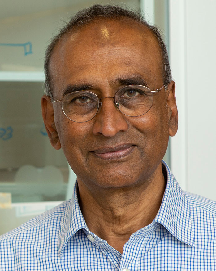 Scientific Leadership: Directors, Deputy Directors & Heads of Divisions ...